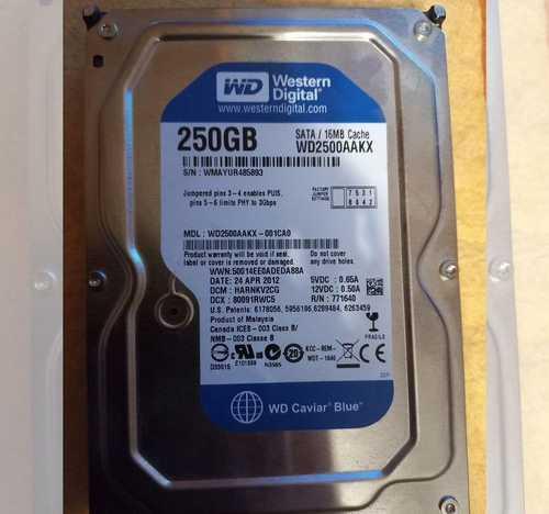 Жесткий диск WD 250 gb blue