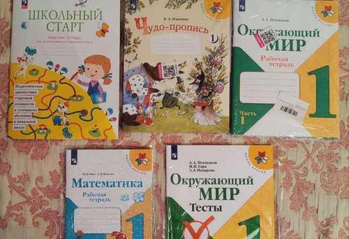 Рабочие тетради 1 класс школа россии