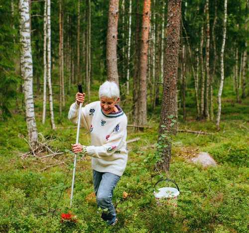 Комбайн для сбора ягод с телескопической ручкой Ma