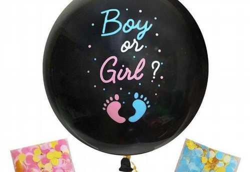 Гендерный шар мальчик или девочка