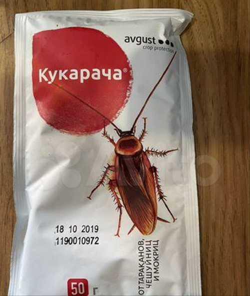Кукарача от тараканов