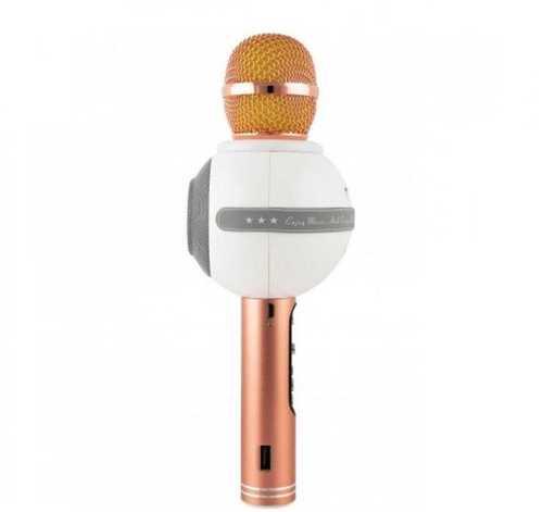 Микрофон караоке WS-878