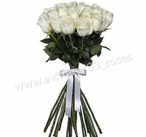 Розы Большие букет "Лилия"