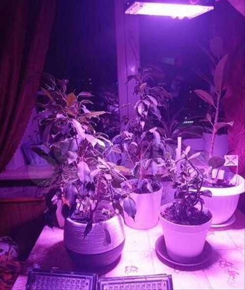 Фитопрожектор. фитолампа. светильник для растений