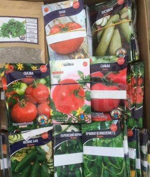 Семена овощей(томаты, огурец, зелень и так далее)