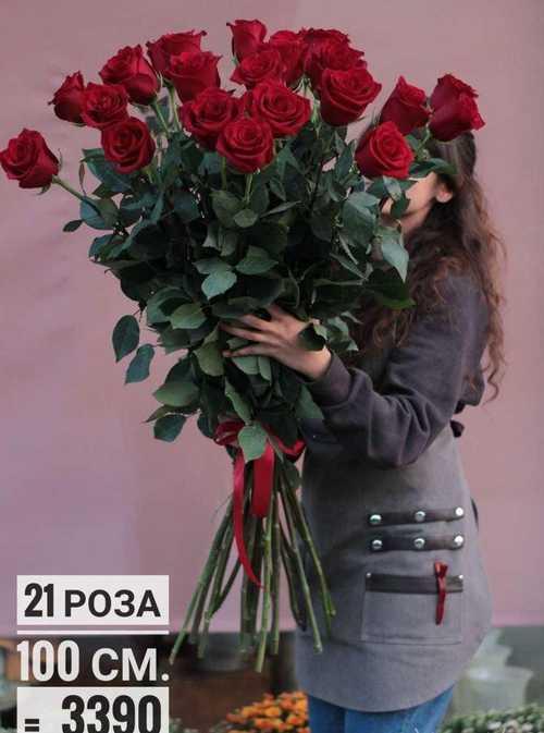 Цветы, розы "Экспловер" 100 см