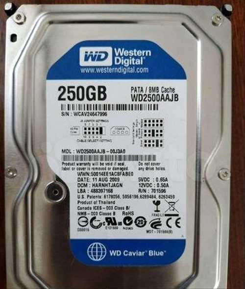 Жесткий диск Western Digital Blue 250 гб IDE