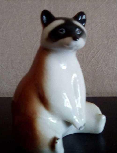 Енот