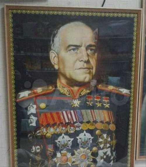 Портрет Жукова