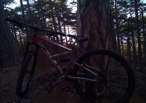 Велосипед Wheller DS800