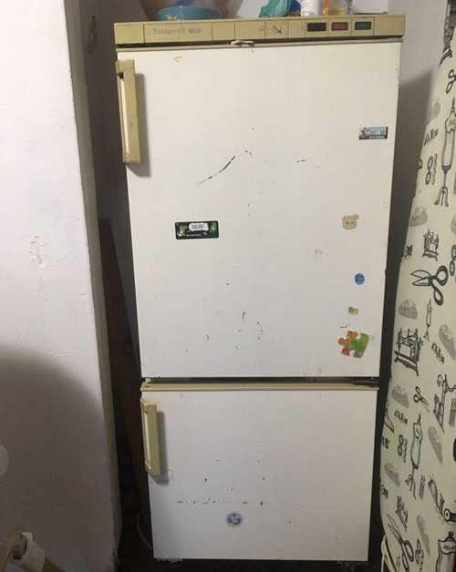 Холодильник Snaige 117