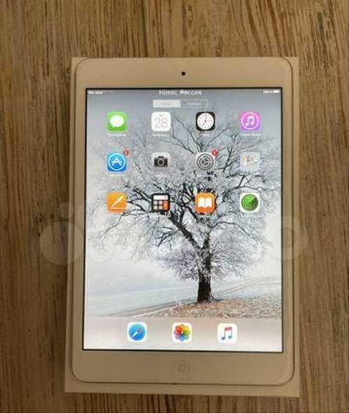 iPad mini A1454