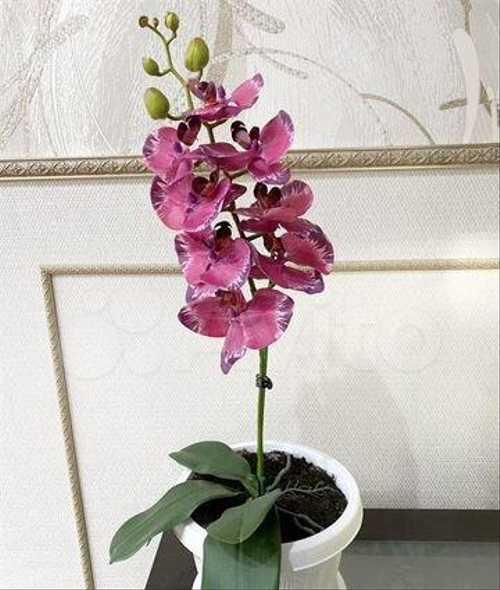 Орхидея фаленопсис (искусственная)