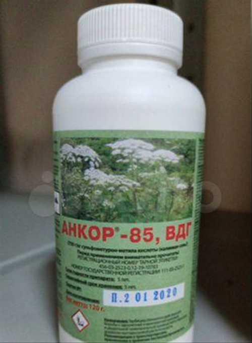 Анкор-85