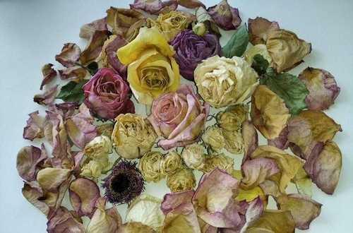 Лепестки роз, сушеные розы