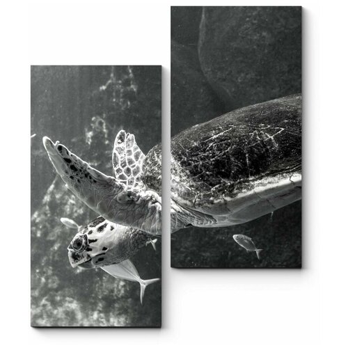 Модульная картина Морская черепаха 110x138