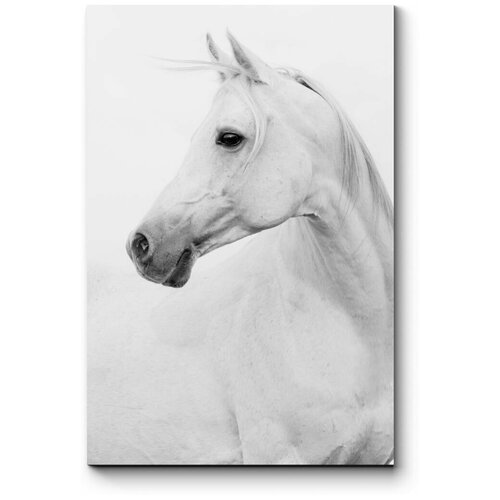 Модульная картина Белая лошадка110x165