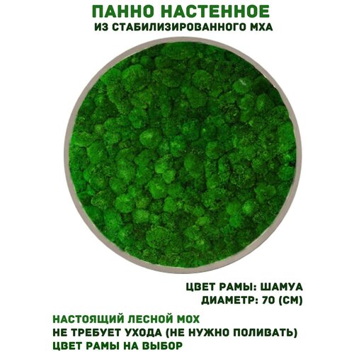 Круглое панно из стабилизированно мха GardenGo в рамке цвета шамуа диаметр 70 см, цвет мха зеленый