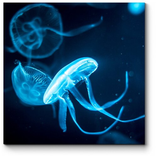 Модульная картина Неоновый танец медуз под водой 60x60