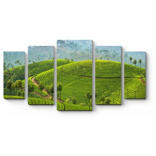 Модульная картина Красота зеленых полей 210x116