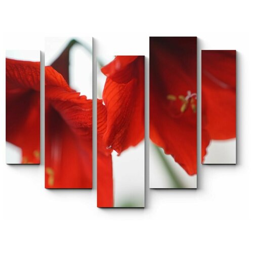 Модульная картина Красные цветы161x131