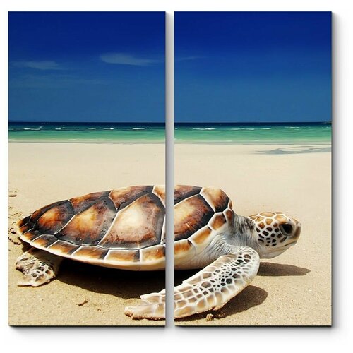 Модульная картина Черепаха принимает солнечные ванны90x90
