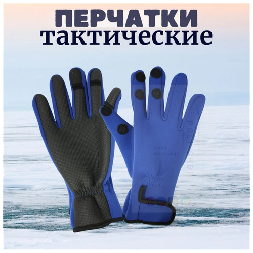 Перчатки , размер Универсальный, синий