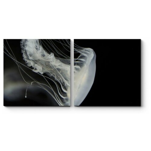 Модульная картина Белая медуза100x50