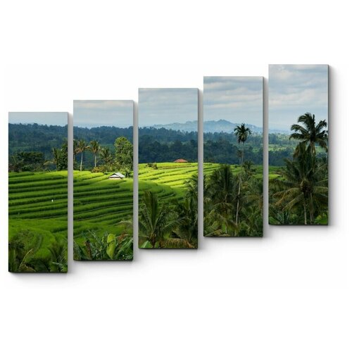 Модульная картина Бали, рисовые поля 140x98