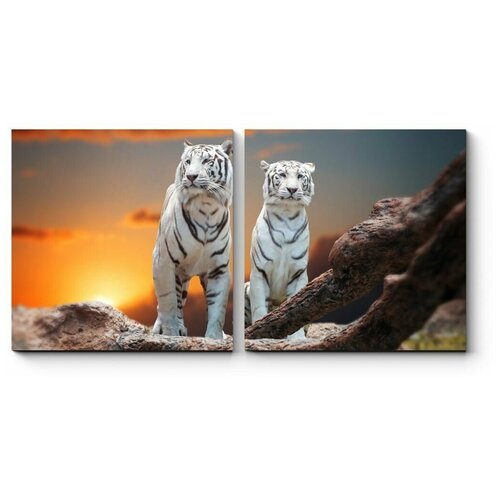 Модульная картина Два белых тигра на закате 130x65
