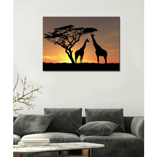 Картина - Жираф, жирафы, африка, жирафы закат, природа жирафы (9) 40х60