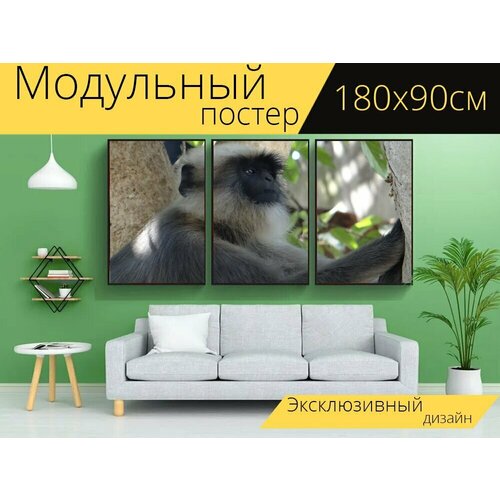 Модульный постер "Серый лангур, обезьяна, животное" 180 x 90 см. для интерьера