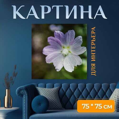 Картина на холсте "Цветок, полевой цветок, луг" на подрамнике 75х75 см. для интерьера