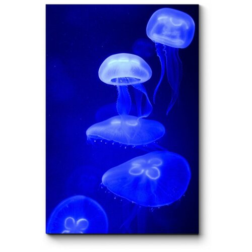Модульная картина Медузы плывущие к свету 70x105