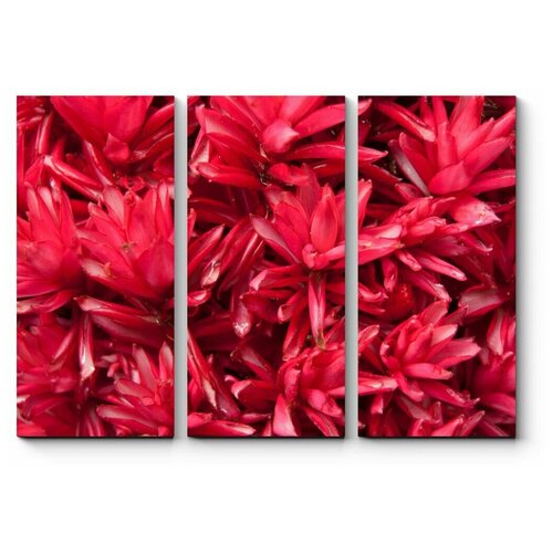 Модульная картина Красные тропические цветы160x115