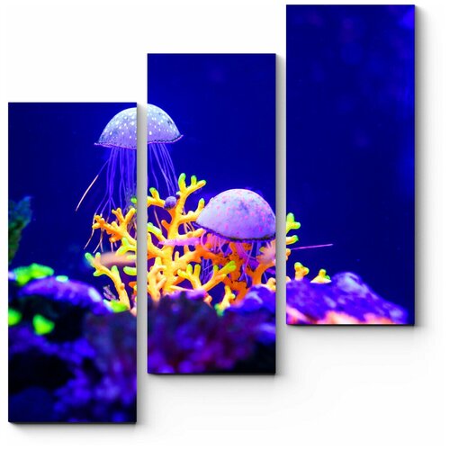 Модульная картина Яркий мир кораллов и медуз 80x85