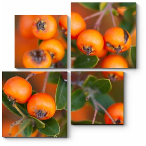 Модульная картина Спелые ягоды рябины 50x50