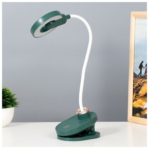 RISALUX Настольная лампа на прищепке "Блум" LED 3Вт АКБ USB зеленый 8х12х42,5 см