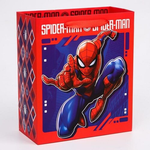 Пакет ламинированный вертикальный, 23 х 27х 11,5 см "Спайдер-мен", Человек-паук