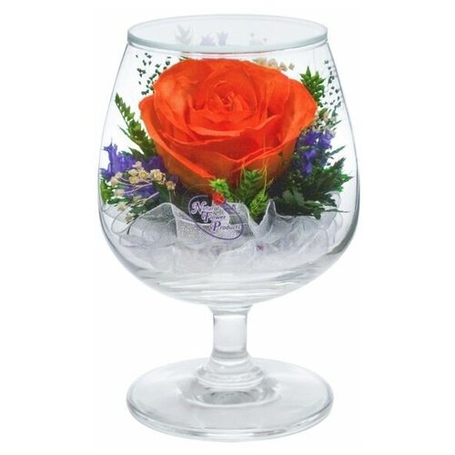 Композиция из оранжевых роз, GSRo, в подарочной упаковке / Цветы в стекле. Товар уцененный