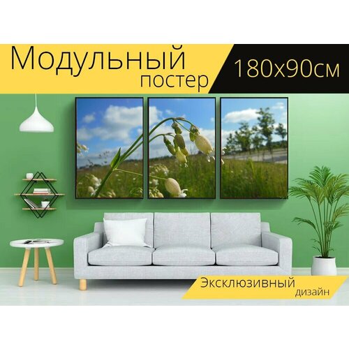 Модульный постер "Смолёвка обыкновенный, дикие растения, цветущий" 180 x 90 см. для интерьера