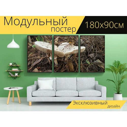 Модульный постер "Грибы, лес, осень" 180 x 90 см. для интерьера