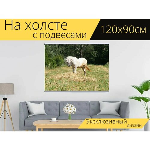 Картина на холсте "Лошадь, животные, жеребец" с подвесами 120х90 см. для интерьера