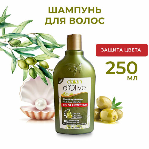 DALAN Шампунь "Защита цвета" для окрашенных волос с оливковым маслом, Dalan Color Protection, 250 мл