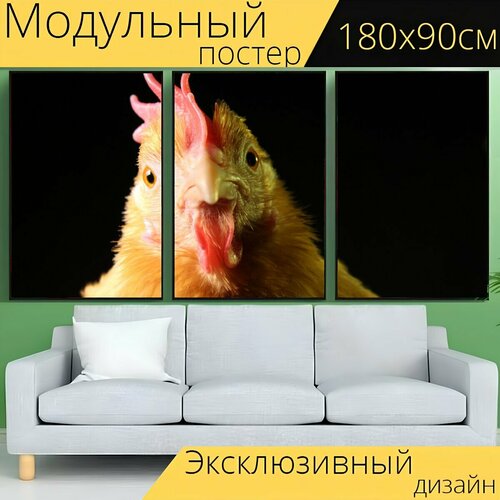 Модульный постер "Курица, домашняя птица, со свободным выгулом" 180 x 90 см. для интерьера
