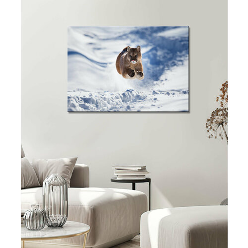 Картина - Пума, пума хищник, красивая пума в прыжке (10) 60х80
