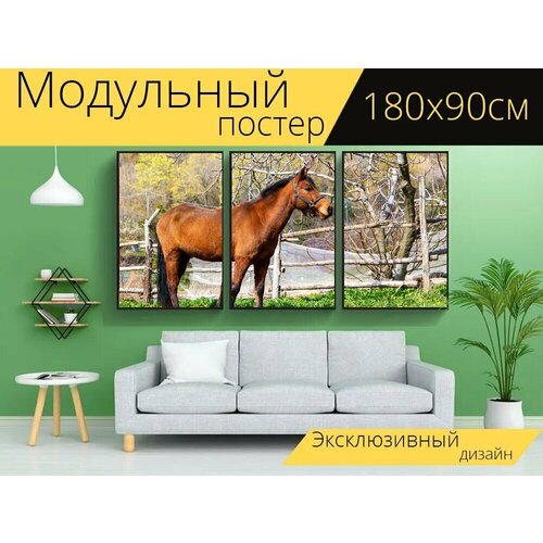 Модульный постер "Лошадь, загон, изгородь" 180 x 90 см. для интерьера