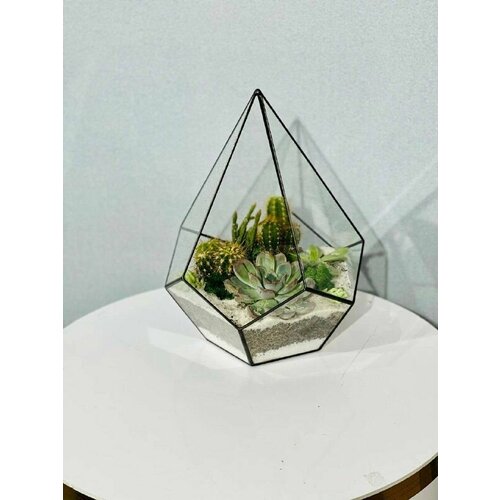 Флорариум / Комнатное растение / Кактусы и суккуленты в вазе