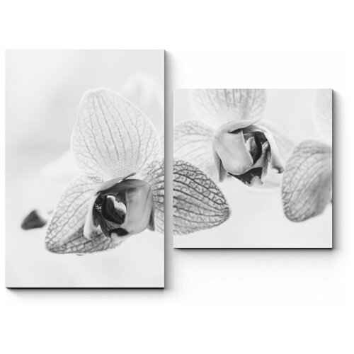 Модульная картина Черно-белые орхидеи 90x68