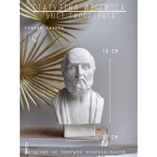 Статуэтка Бюст Гиппократа, 19 см гипс фигурка